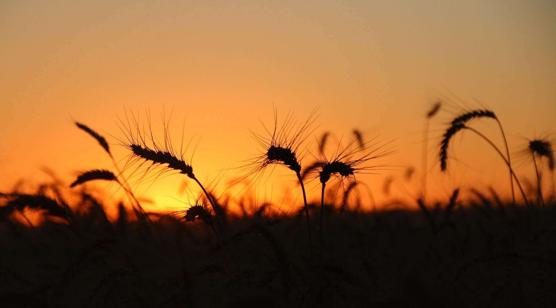 Customised Farm Management - About Us