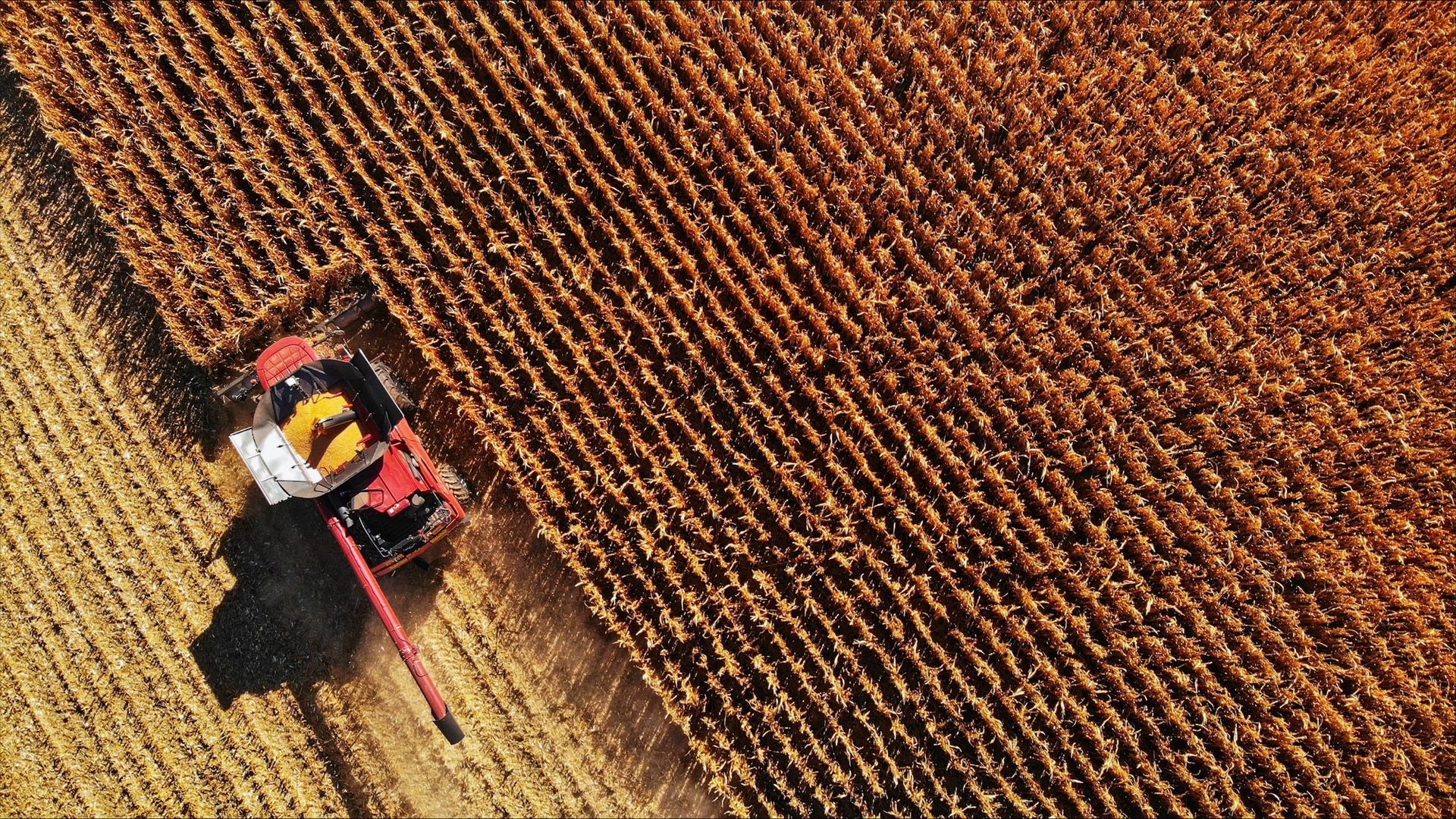 Customised Farm Management - About Us