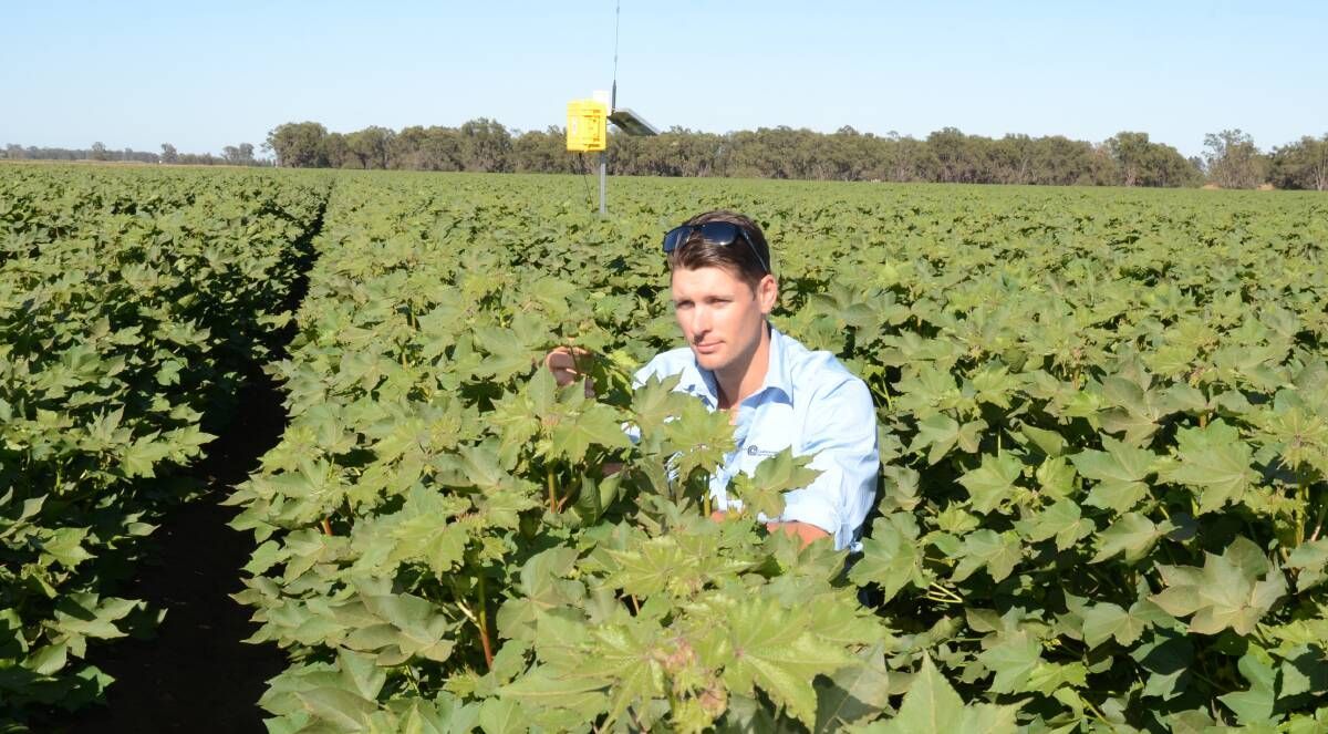 Customised Farm Management - About Us