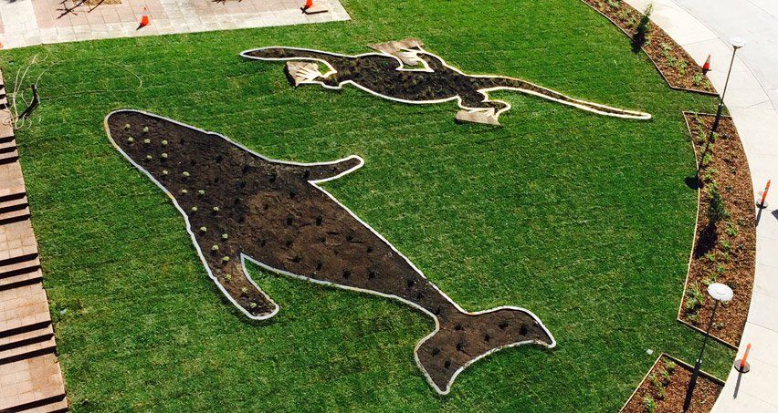 Precision and Accuracy Allow Hygrade to Create Architectural Works of Art