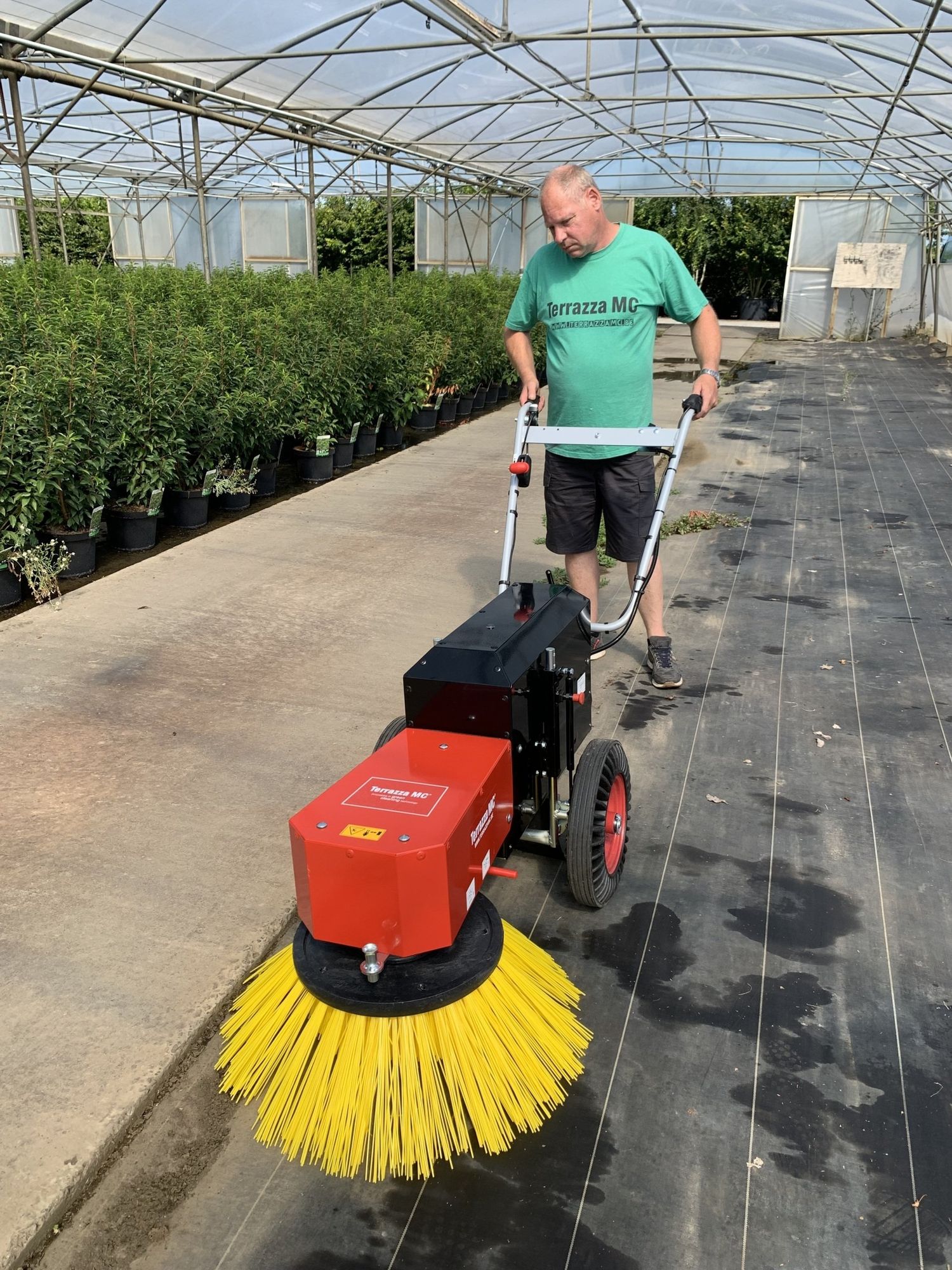 Ecological cleaning solutions with only water