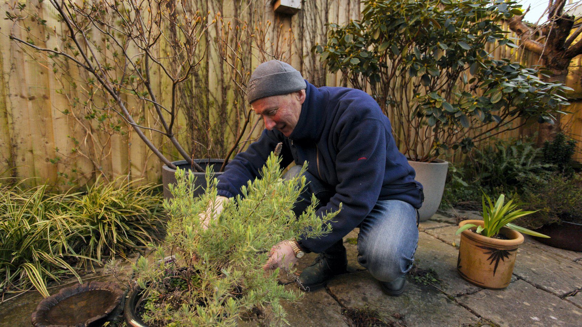 THE RSPB CALLS FOR EVERYONE TO JOIN THE WILDLIFE-PLANTING REVOLUTION