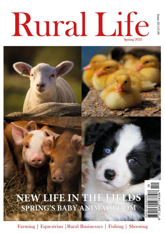 Life Magazine Nottingham