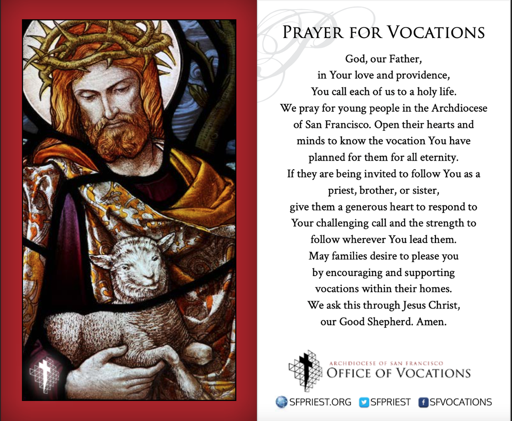 Home [www.staugustinessf.org]