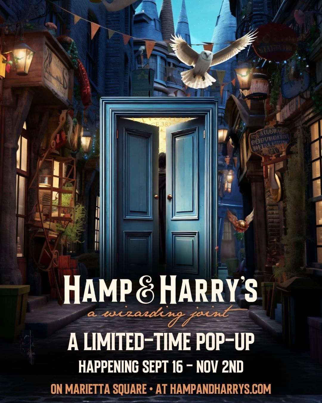 Harry Potter Pop-up at Hamp & Harry's | Marietta GA