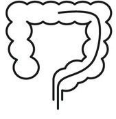 Gastroenterology | Adelaide | Adelaide Gastroenterology