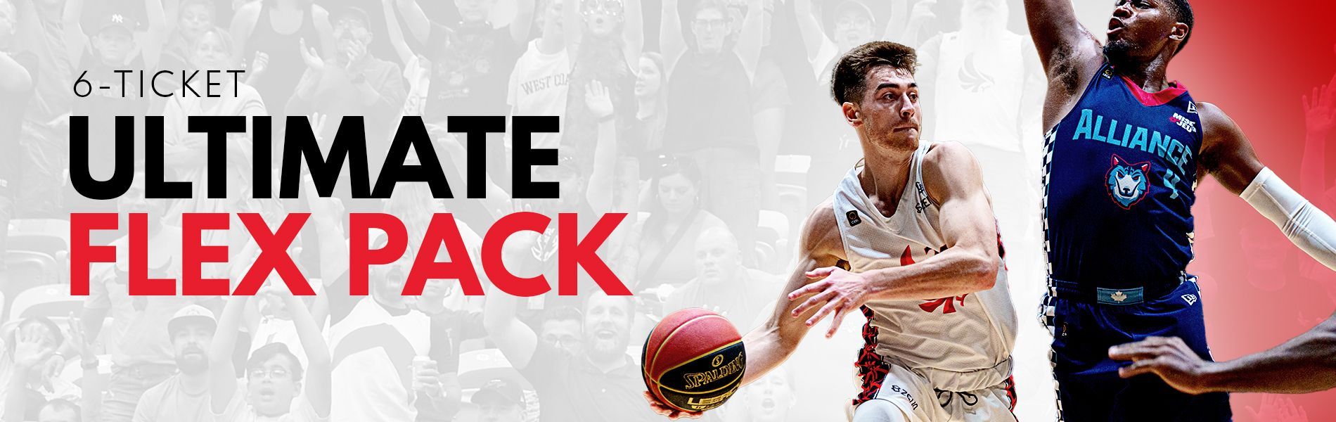 Calgary Surge Basketball - Canadian Elite Basketball League