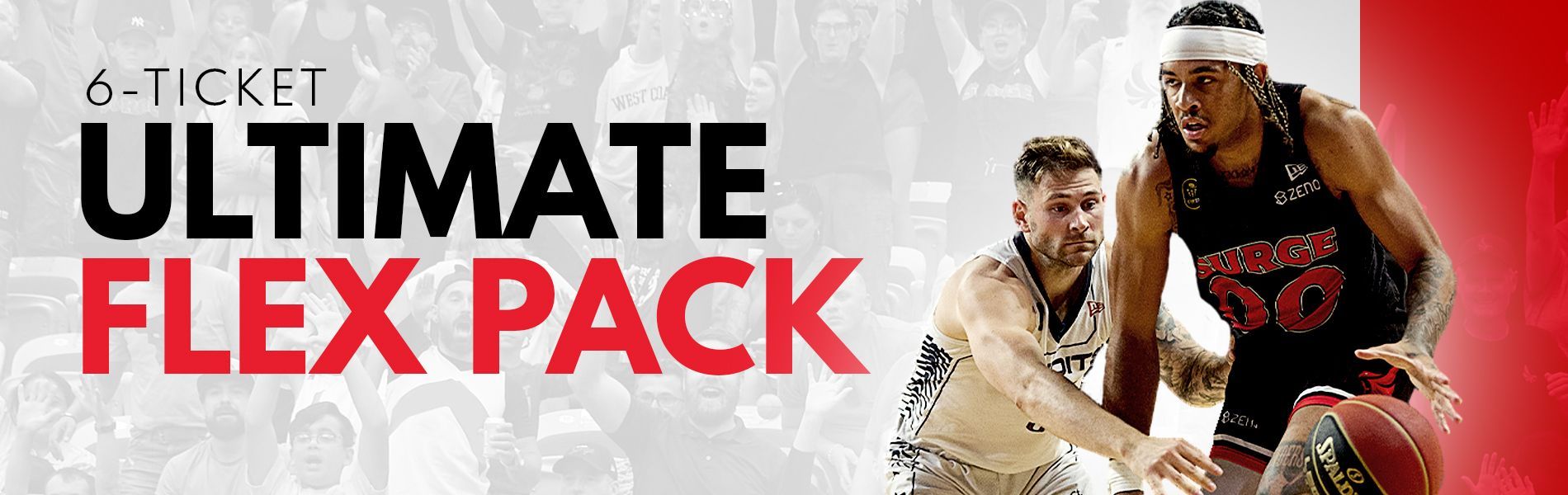 Calgary Surge Basketball - Canadian Elite Basketball League