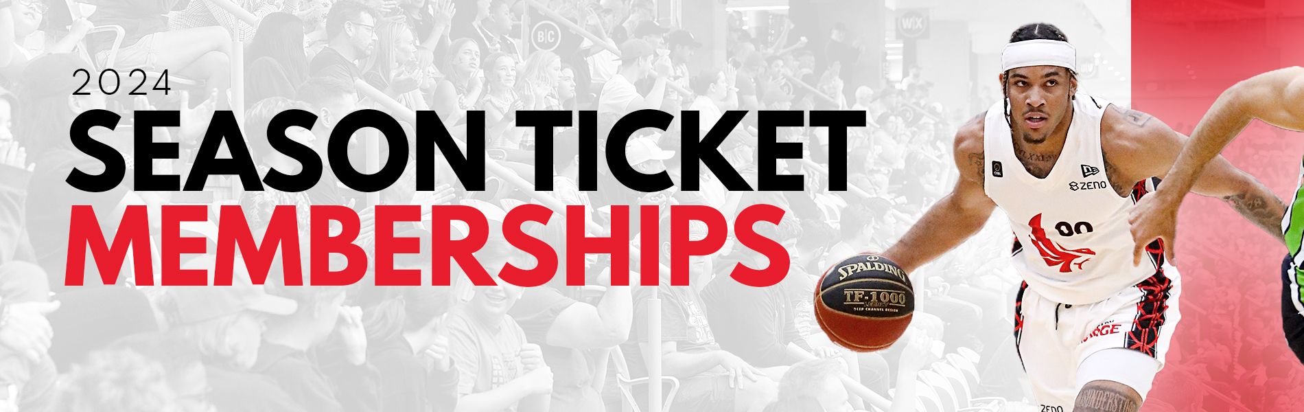 Calgary Surge Basketball - Canadian Elite Basketball League