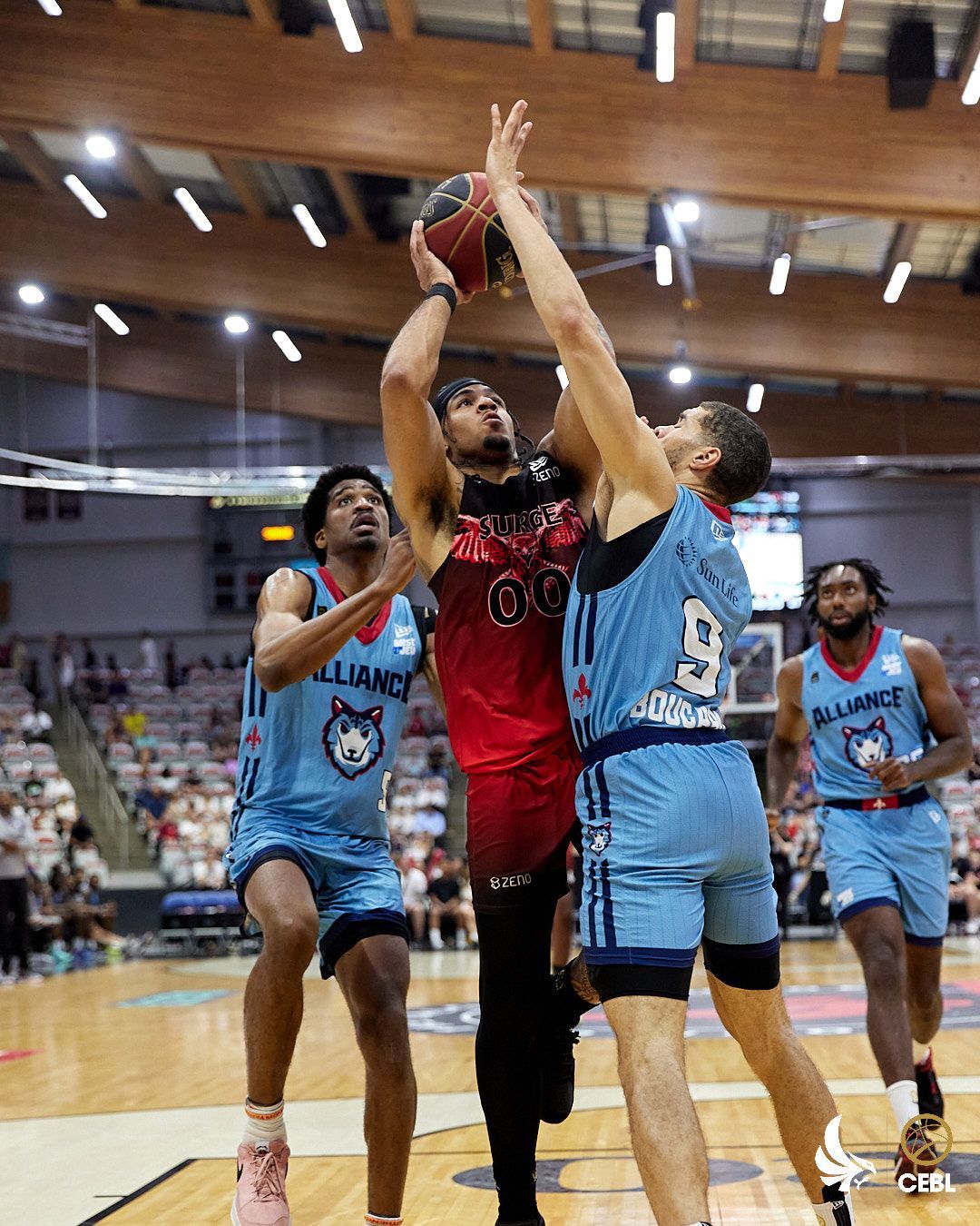 Calgary Surge Basketball - Canadian Elite Basketball League