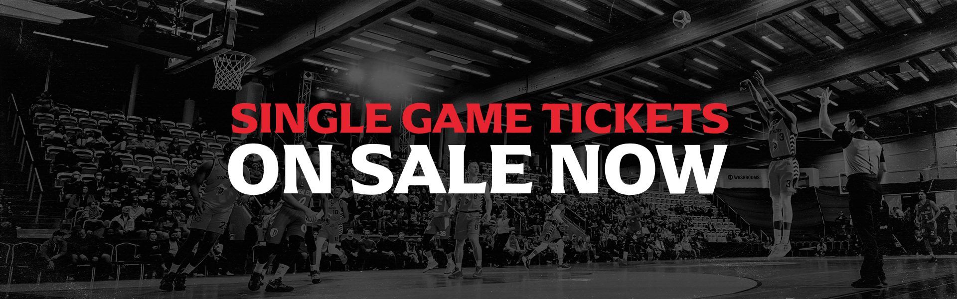Calgary Surge Basketball - Canadian Elite Basketball League
