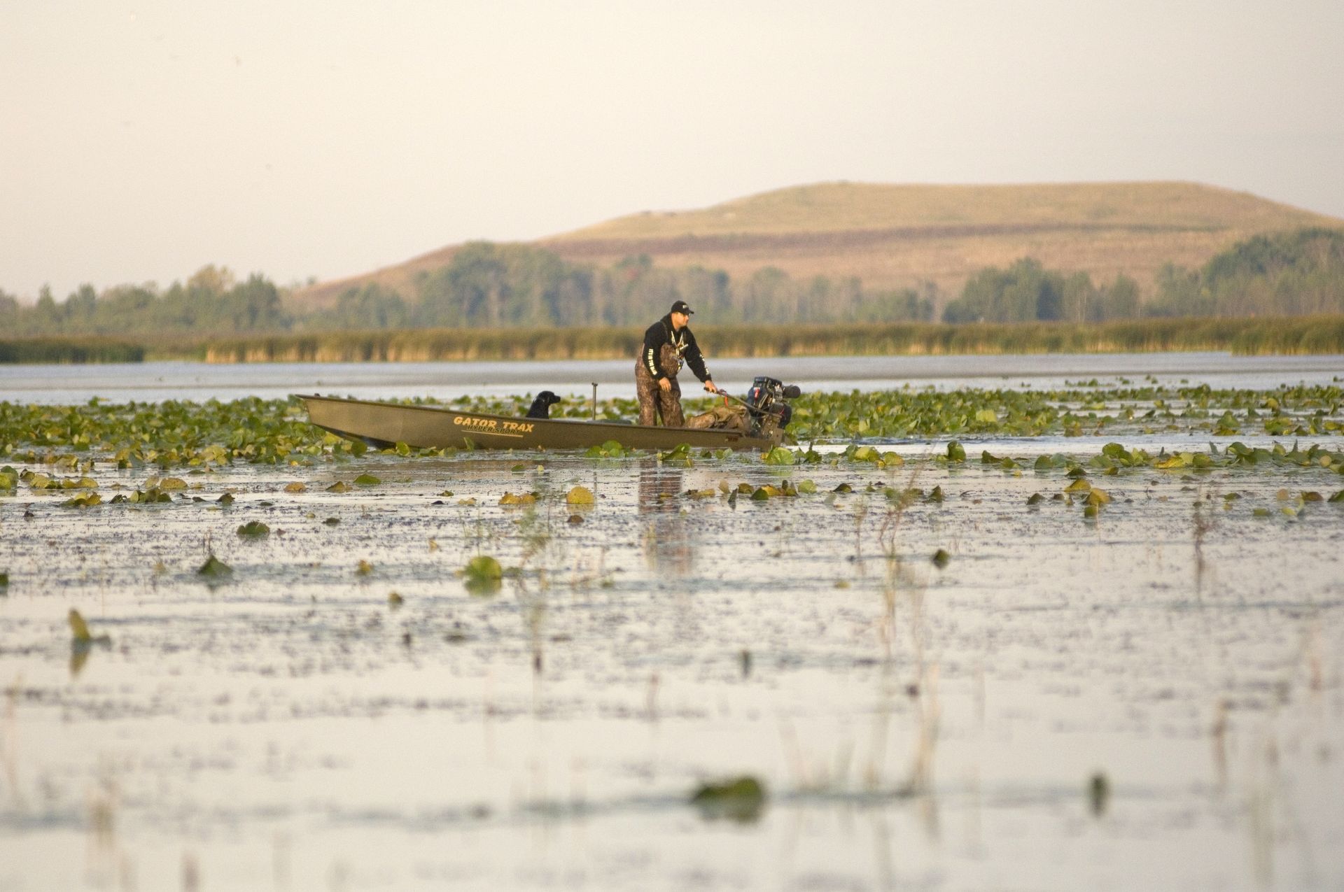 Michigan’s Wetland Wonders