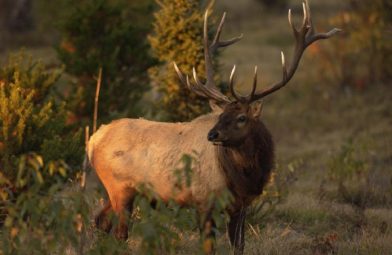 April 2024 NRC Recap