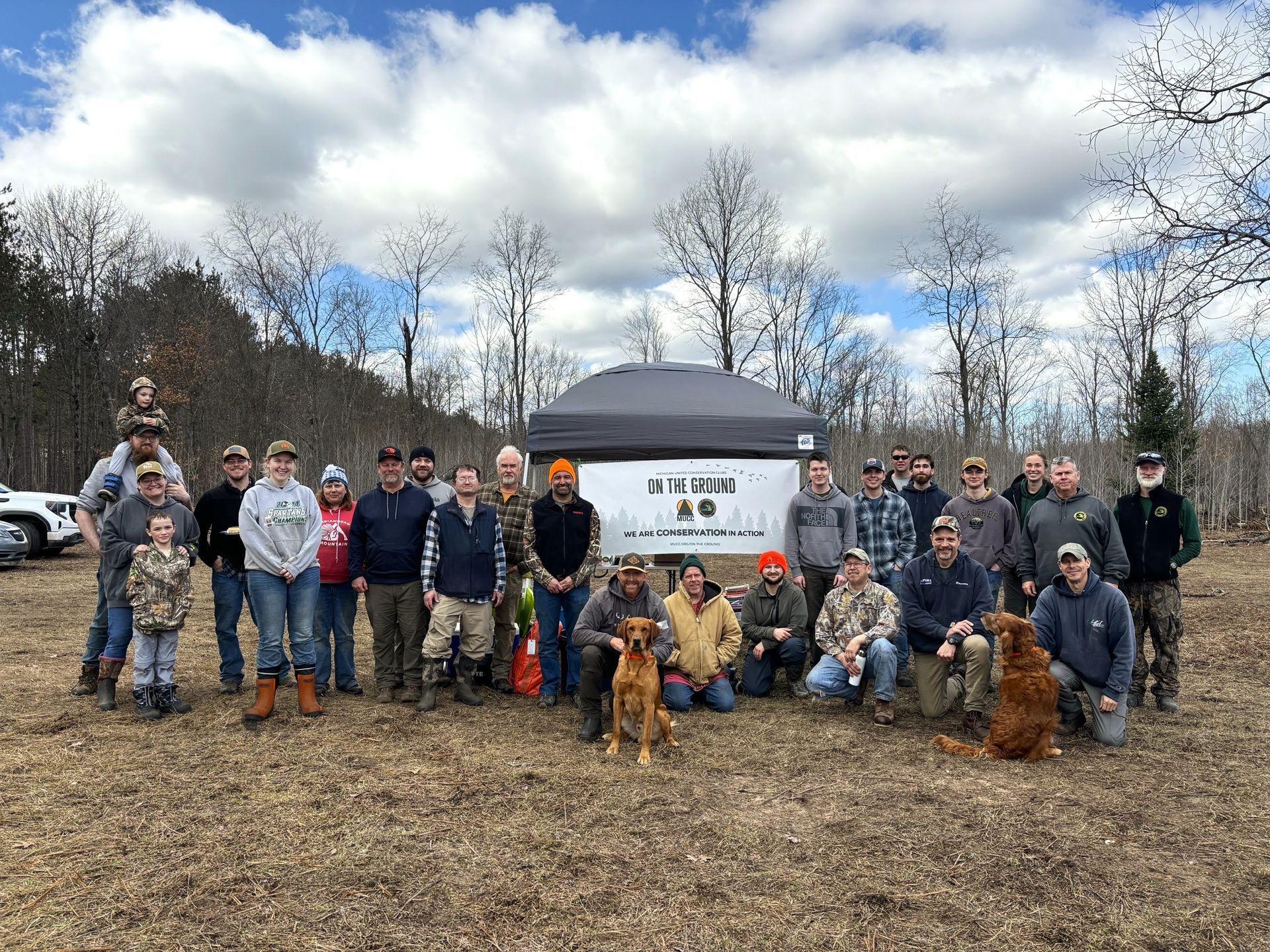 On the Ground: Brush Piles & Edge Feathering in the Traverse City ...