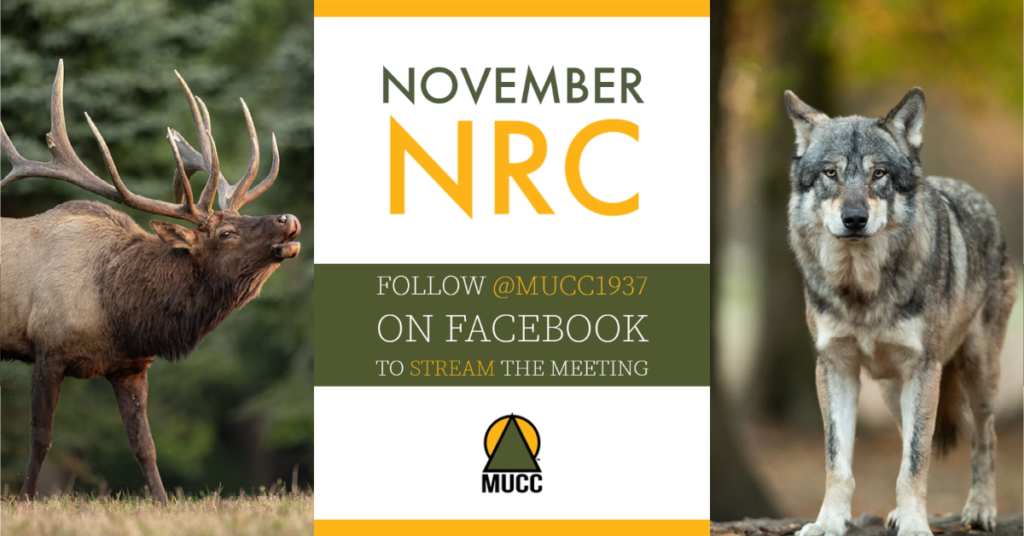 November NRC Preview