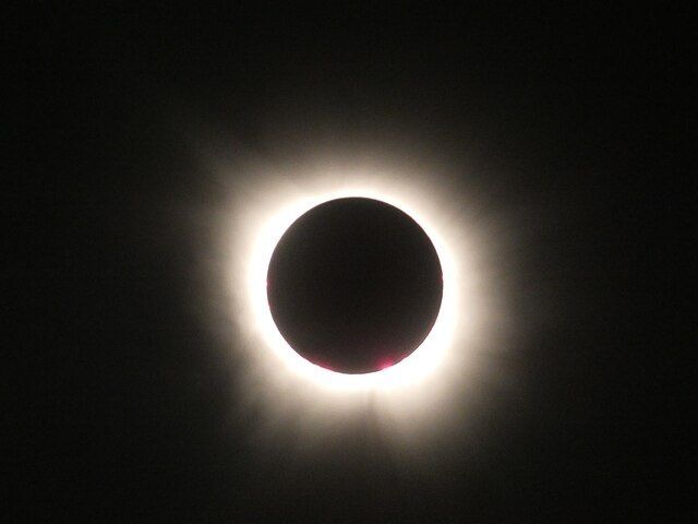 How Does a Solar Eclipse Affect the Environment?