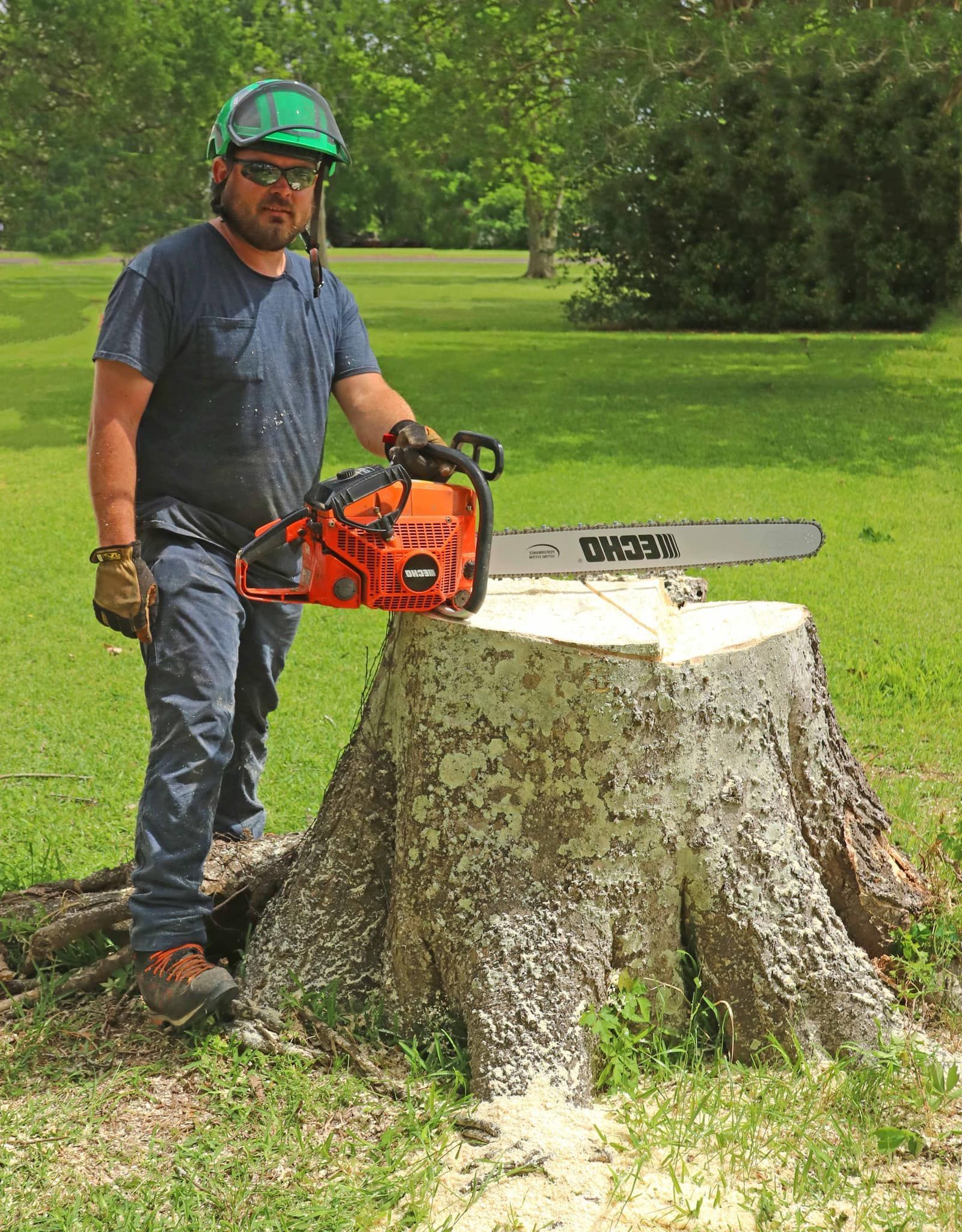 Precision Tree and Land Services - Top Rated Tree Service - Abbeville, LA