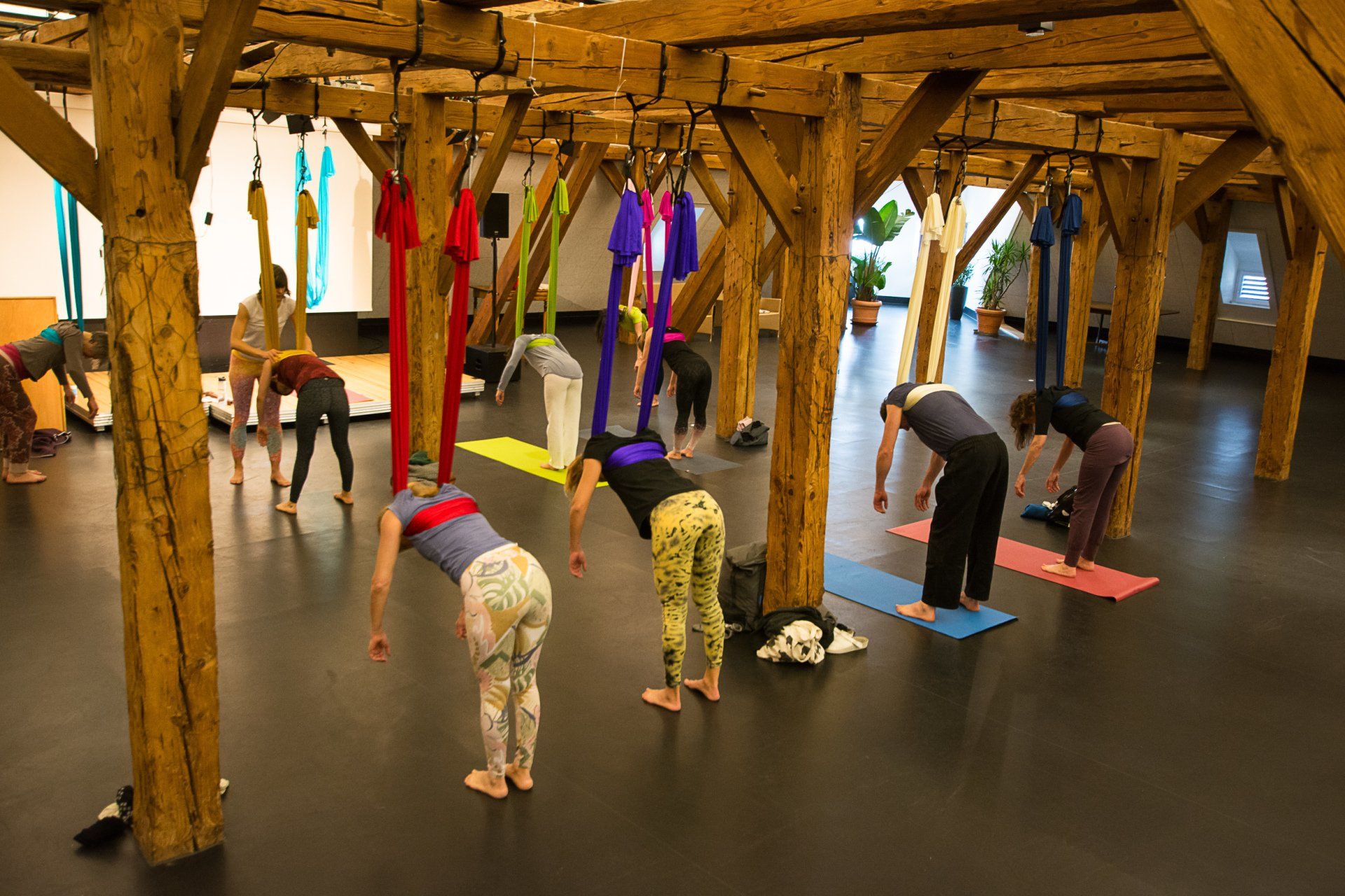 Aerial-Yoga | Imke Beck - Yoga & Co.