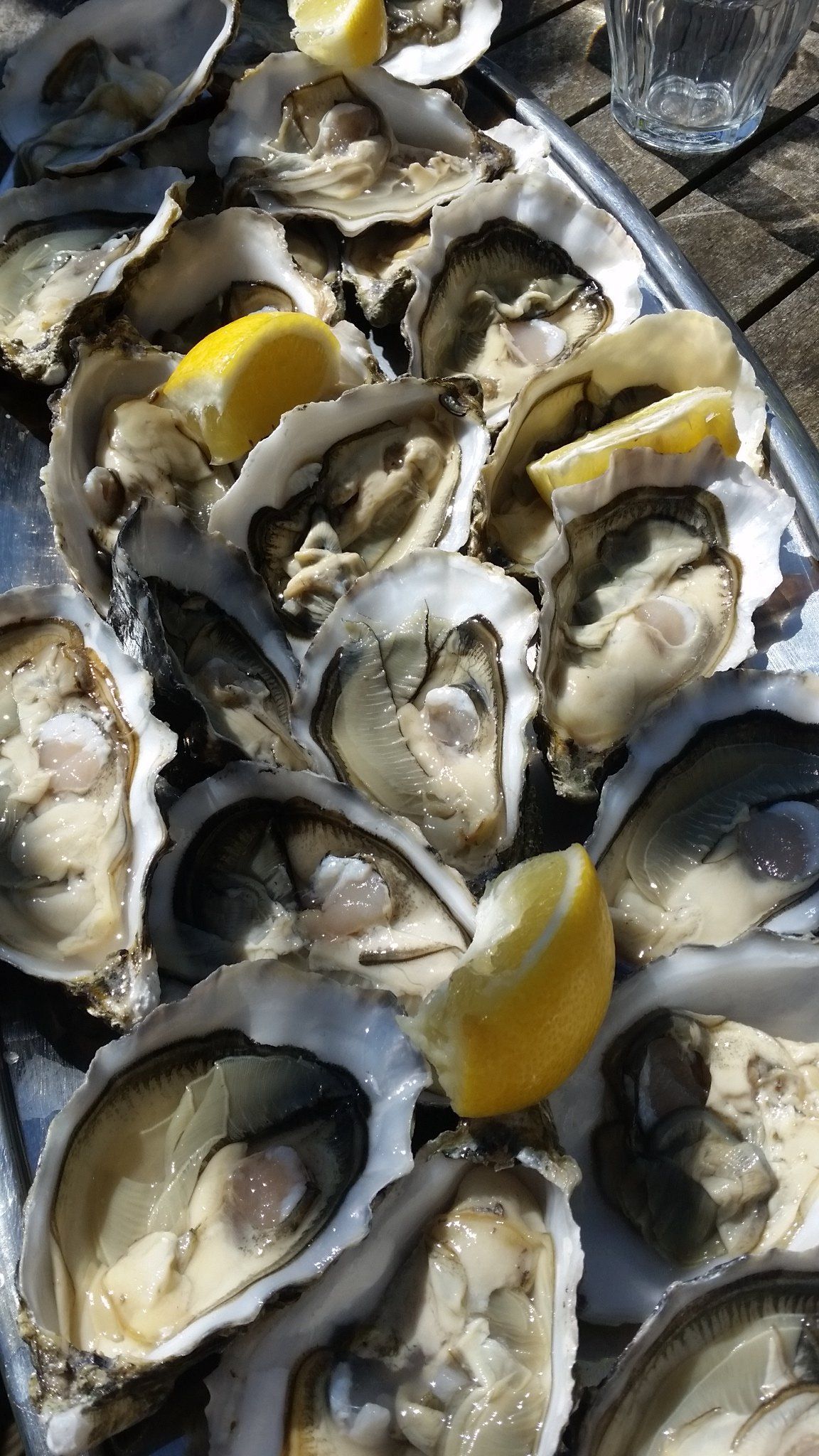 Gillardeau oysters 24 hrs a day