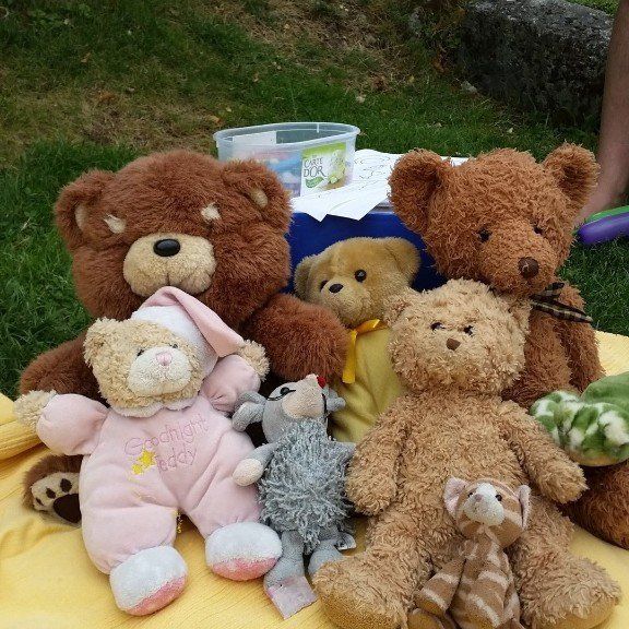 Teddy Bear Picnics