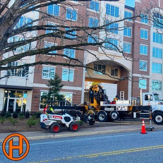 Tree Services Gallery | Hall's Tree Service | Auburn, Dadeville ...