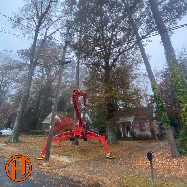 About Us | Hall's Tree Service | Auburn, Dadeville & Opelika, AL