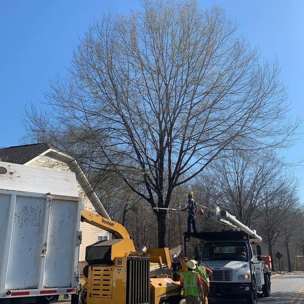 Gallery | Hall's Tree Service