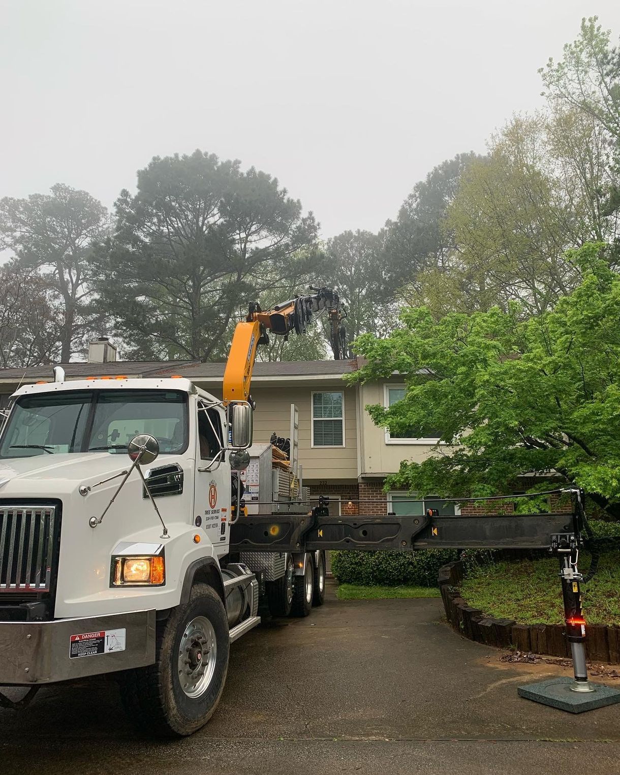 Tree Services Gallery | Hall's Tree Service | Auburn, Dadeville ...