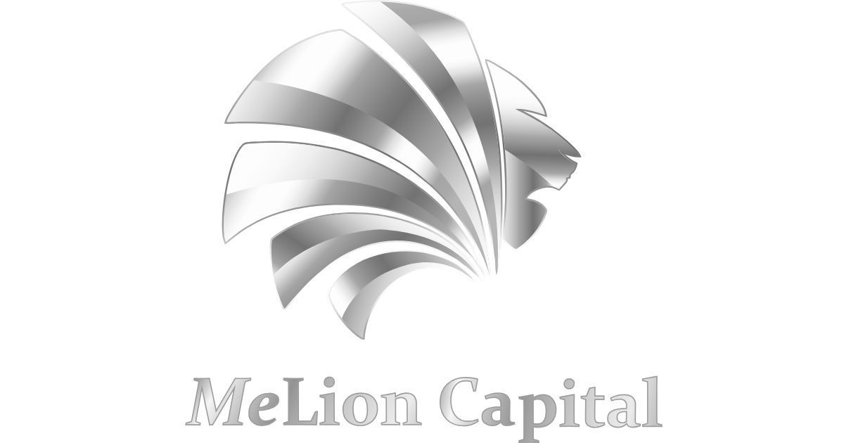 HOME CHI SIAMO MELION CAPITAL HOLDING