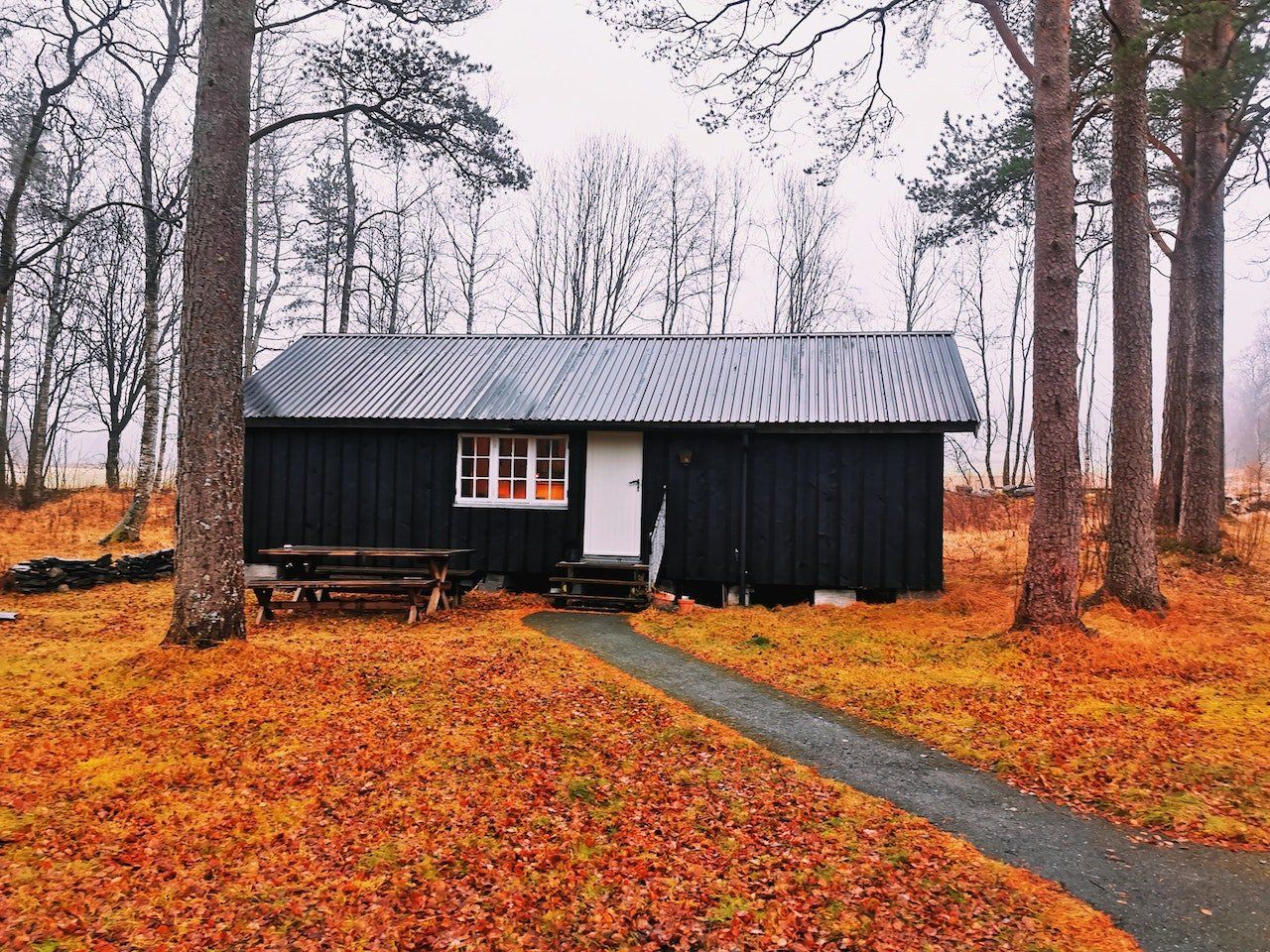 Everything You Need to Know About Insulated Sheds: A Guide
