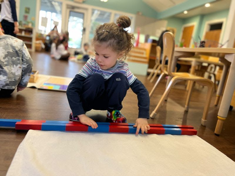 The Importance of Movement