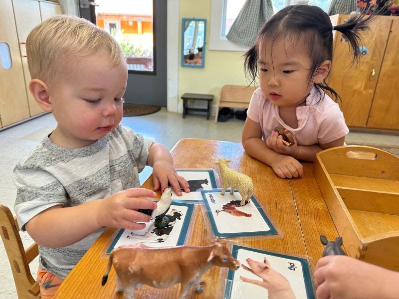 Happy Birthday Maria Montessori!