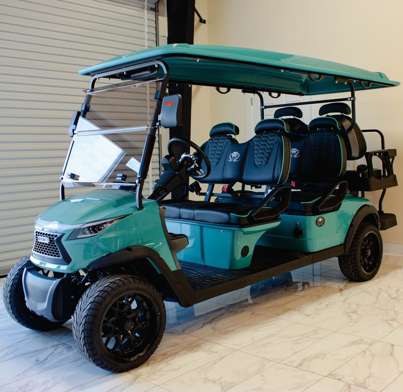Cart Life EV -Charleston's Venom-EV Dealer