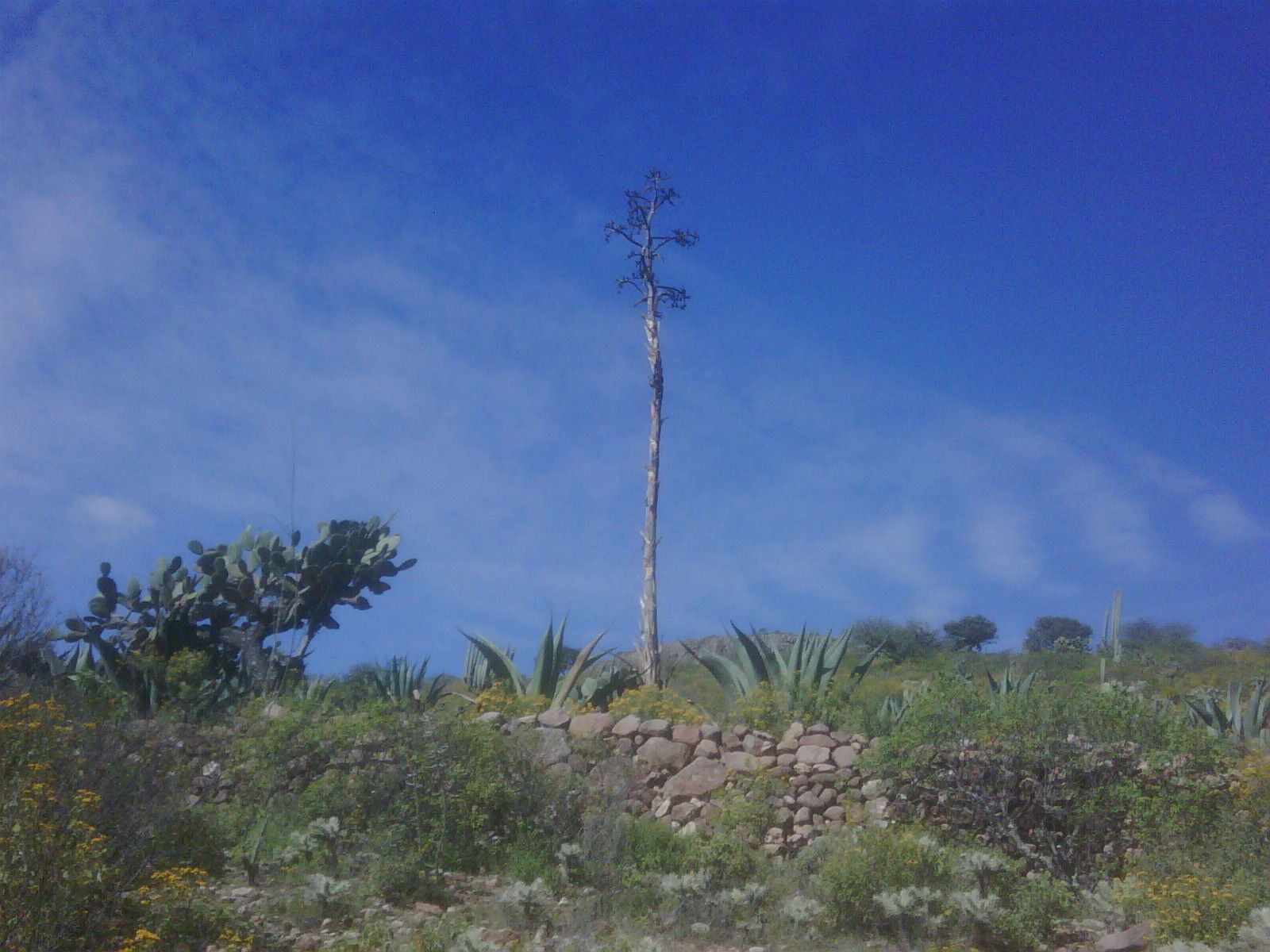 Enviro Fiber & Fillers™ | EnviroTextiles® Sustainable Biodegradable ...