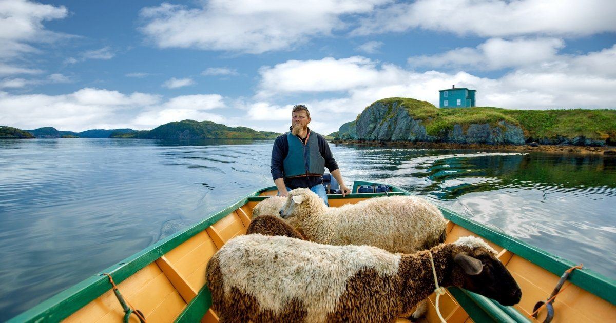 Bienvenue à Terre-Neuve-et-Labrador - ExploreTNL
