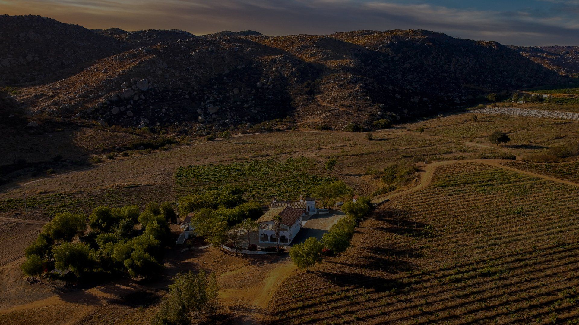Malagon Winery