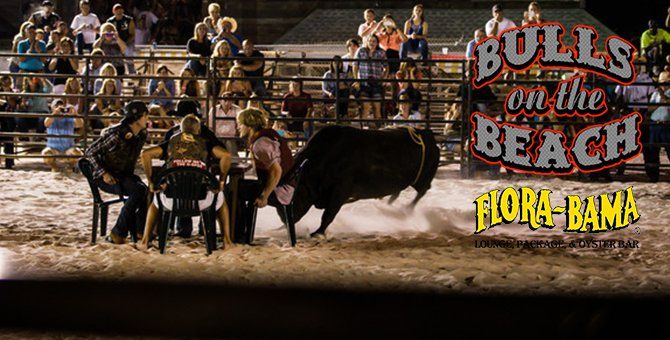 FLORA-BAMA BULLS ON THE BEACH