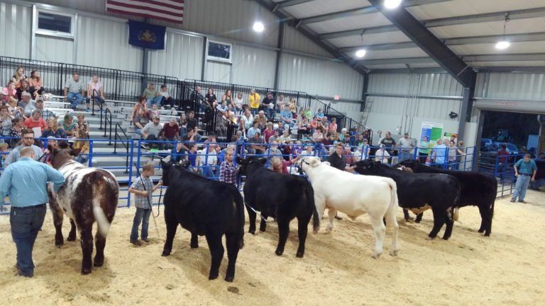 Manheim Community Farm Show