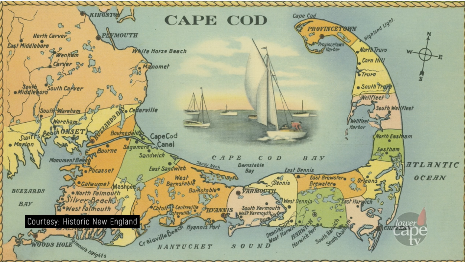 For The Love Of The Turnip Man