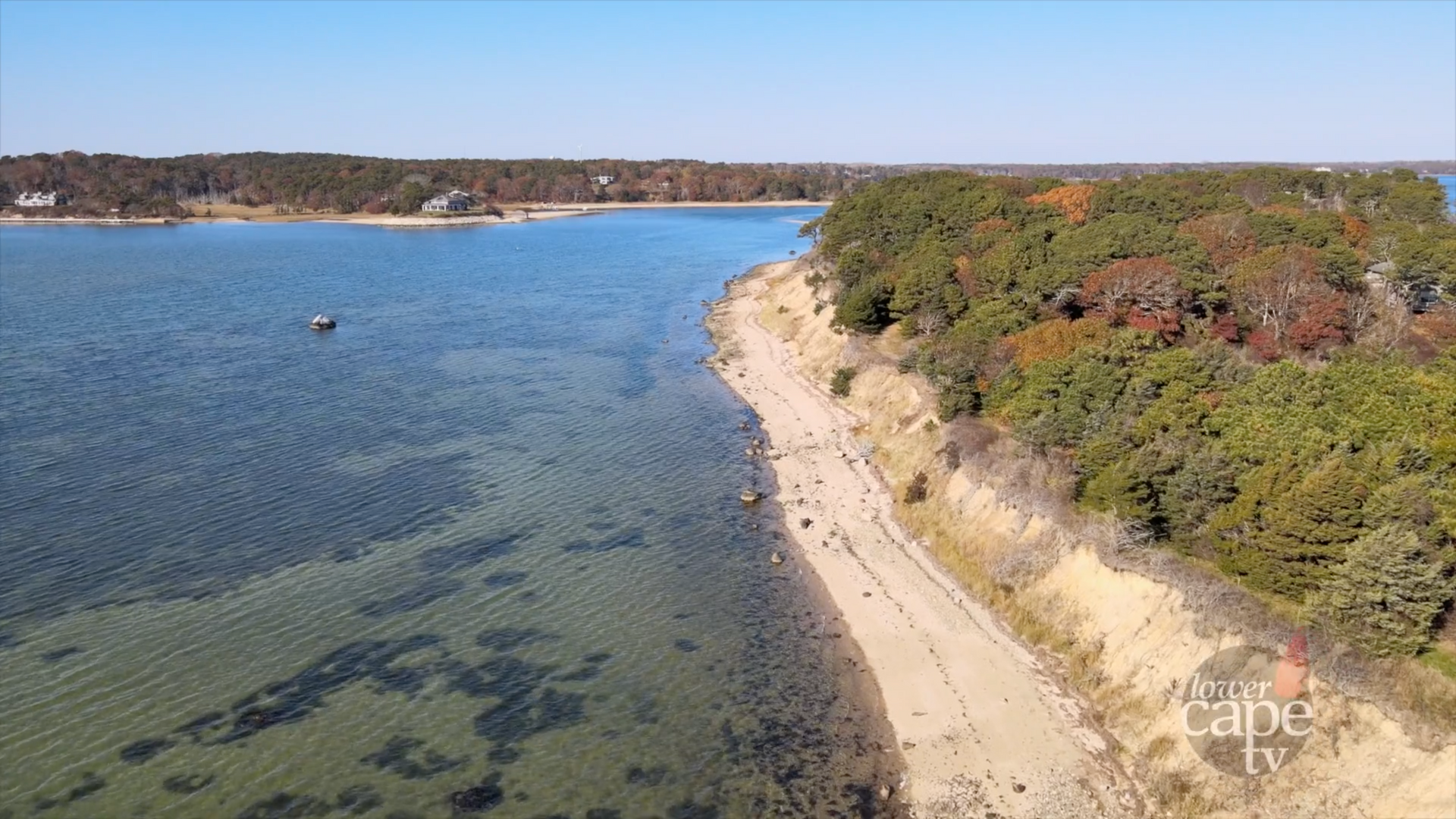 Re-Wilding Sipson Island