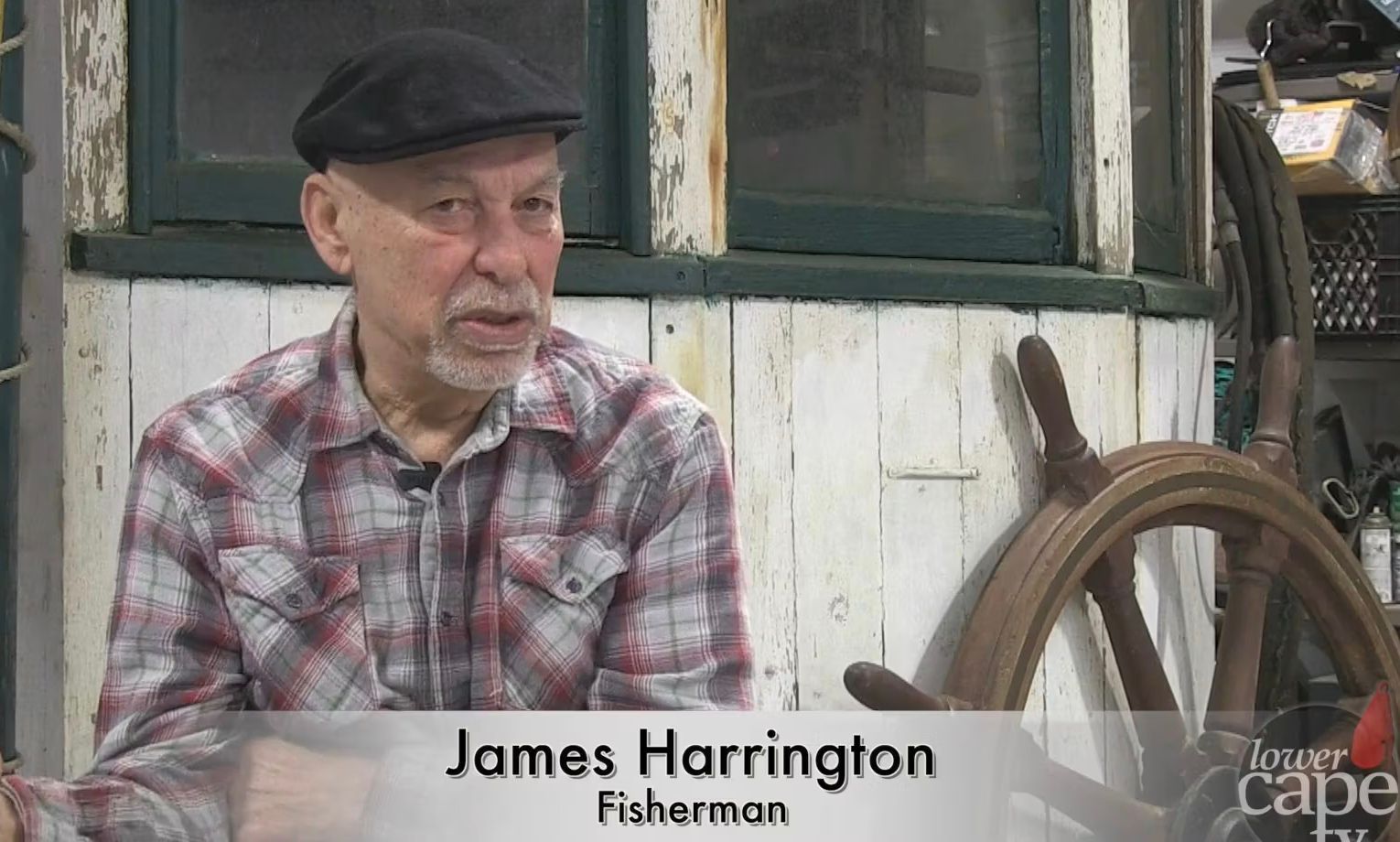 The Secret Life of Cape Cod Eels