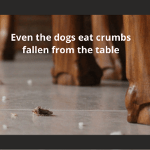 Even the dogs eat the crumbs from the table