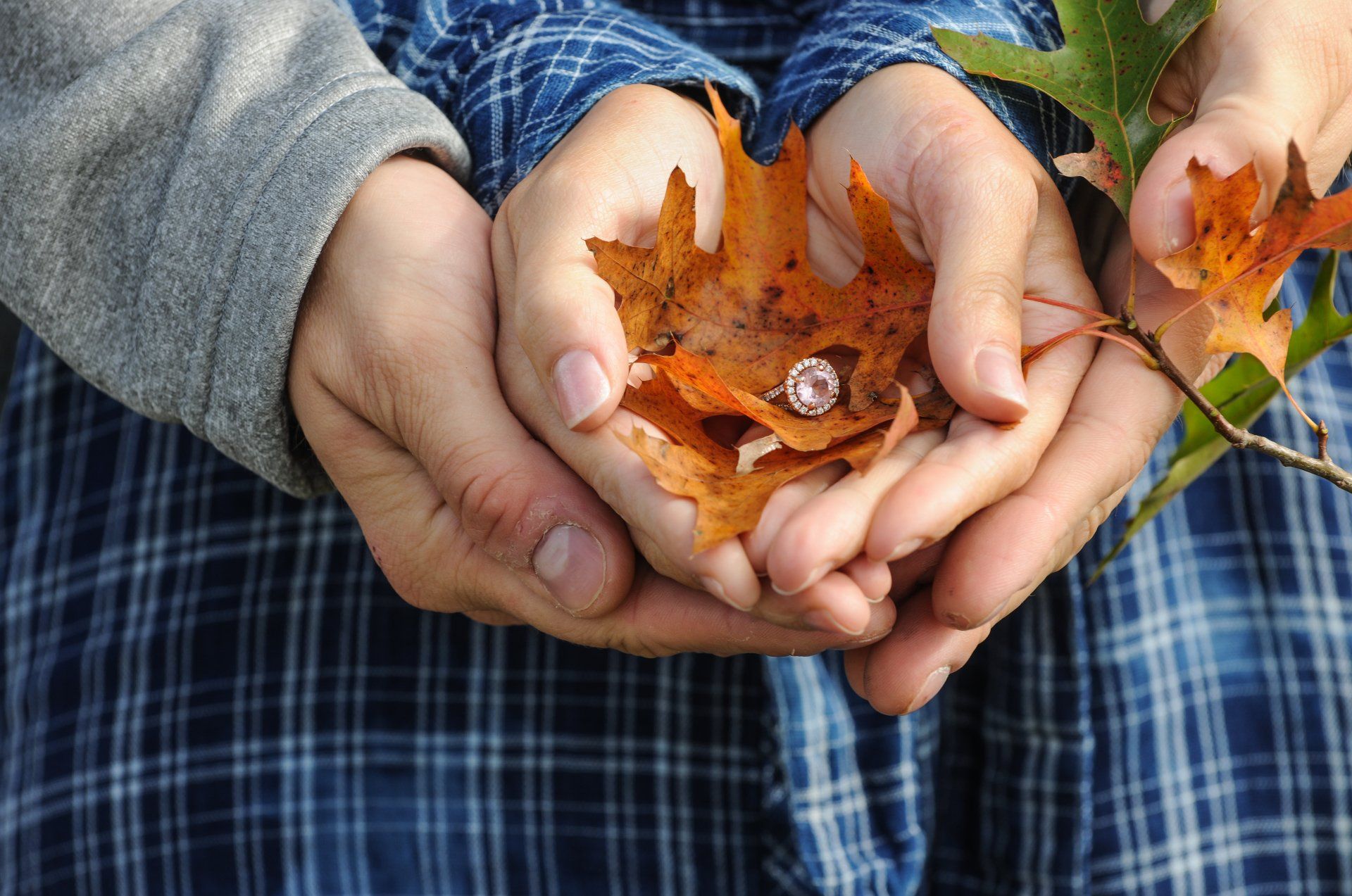 MJO Photography // HOME