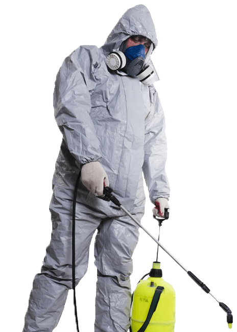 Dever Pest Control | Affordable Residential and Commercial Services