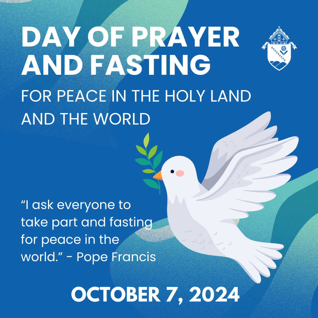 HOME [www.stjulies-dsj.org]