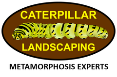 Landscape Designer in Orlando, FL | Caterpillar Landscaping, LLC