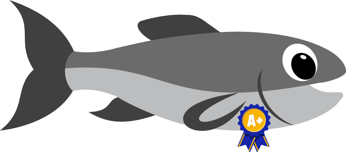 Small Fish Big Fish Swim Classes