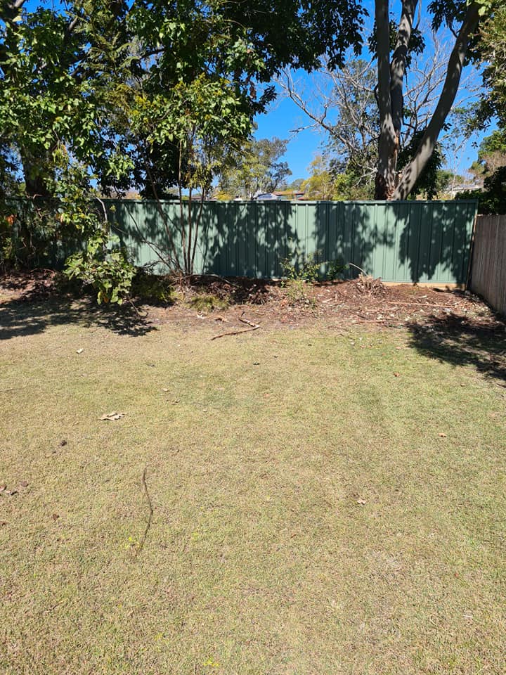 Colorbond Fencing in Taree | D & B Fencing