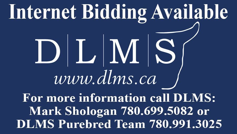 Bid Online and View Sale With DLMS