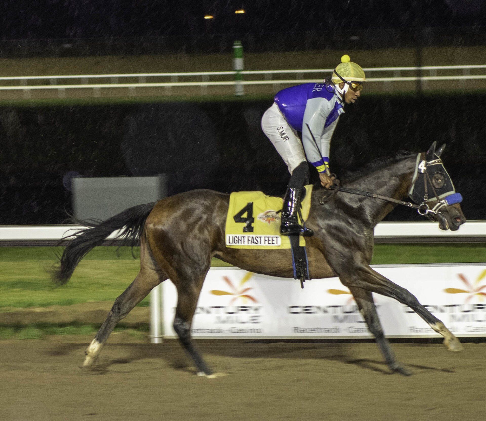 Alberta Breeder Profile